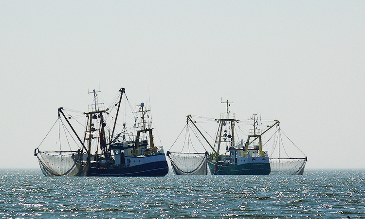 Côte d'Ivoire. Renforcement de l'écosystème maritime - Pouvoirs d'Afrique